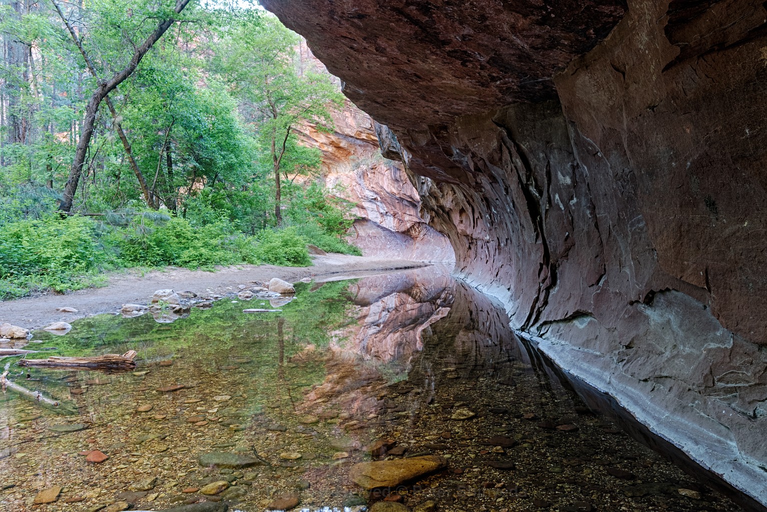 Sedona Arizona, June 2021 Workshop (photos by Nadine Farah)