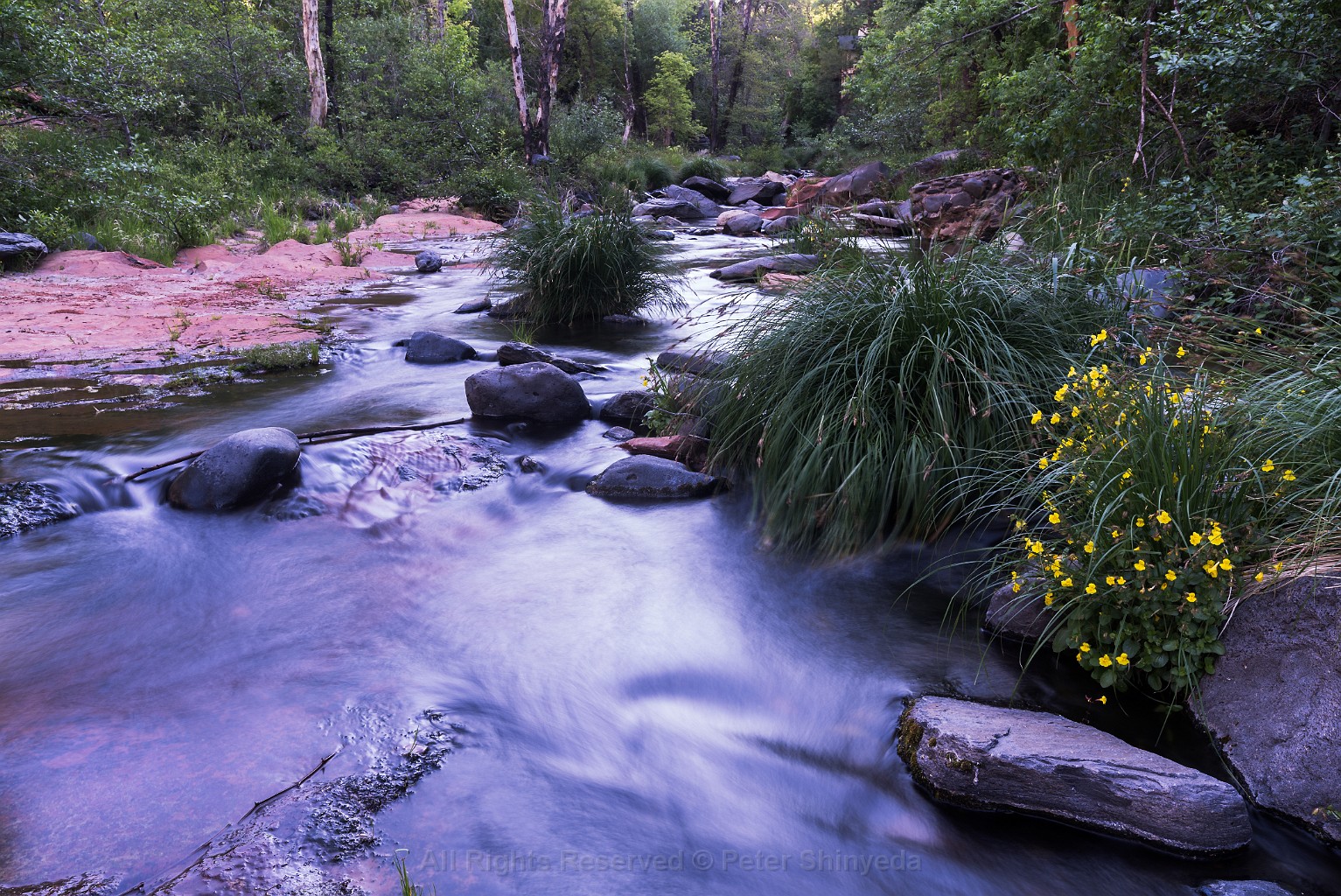 Sedona Arizona, June 2021 Workshop (photos by Nadine Farah)